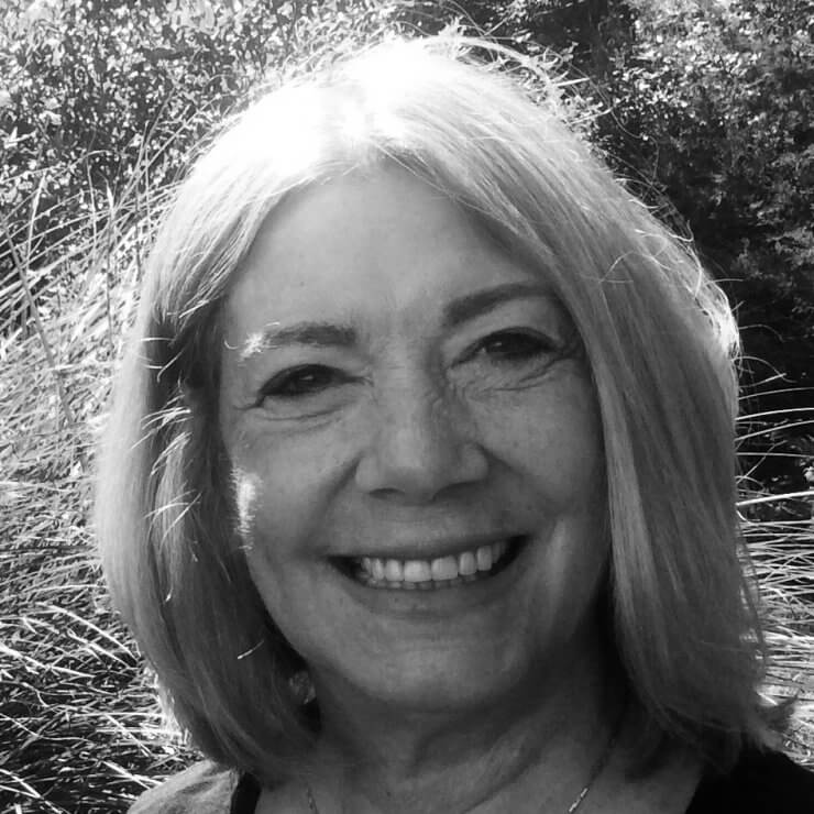 Barbara Daddino’s Picks – Bellevue Literary Review